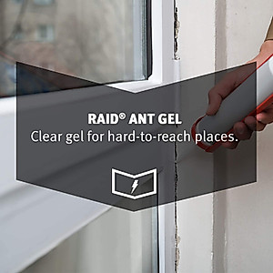 Raid Ant Gel 1.06 Ounce (Pack of 5)