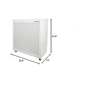 Smart Air Blast Mini MKII Air Purifier (Blast Mini with HEPA filter)