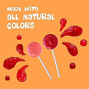 Xyloburst Sugar-Free Xylitol Candy Lollipops Suckers Made With Natural Flavors and Natural Colors, Good For Your Teeth, Dentist Recommended - Made in the USA (25 Count)