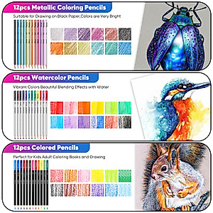 Art Supplies for Adults Kids, 81-Pack Pro Art Kit Drawing Pencils Set, Drawing Supplies Sketch Book, Sketching Pencils Kits, Graphite Pencils, Charcoal Pencils, Watercolor Metallic Sketch Art Pencils