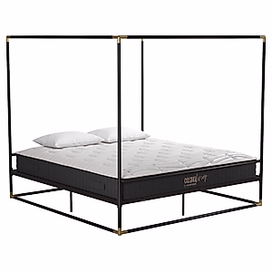 CosmoLiving by Cosmopolitan CosmoLiving Celeste Canopy Metal, King Size Frame, Black/Gold Bed
