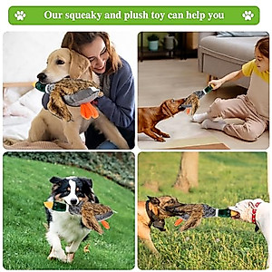 wangstar Squeaky Dog Toy for Puppy Dogs Toys to Keep Them Busy Mallard Duck Stuffed Dog Toys for Medium Small Dogs, 16.5" Wild Duck