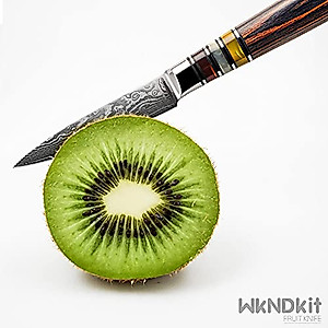 WKNDKIT Damascus VG-10 Stainless Steel Small 3.5 inch Paring knife japanese Kitchen knife with wood Handle, Super Sharp, Fancy Fruit and vegetable Knife