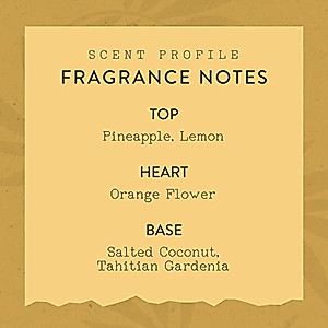 ESSCENTIALS Lazy Summer Fragrance Mist - Beautiful and Light Spray Fragrance from Nature - Vegan and Non-Toxic Mist Featuring Notes of Salted Coconut and Orange Blossom - 2.0 Oz / 60ml