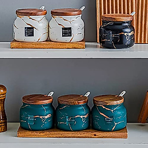 JFFLYIT 3 pcs round porcelain condiment jars set sugar bowl ceramic spice jars marble ceramic seasoning coffee and sugar canister set with bamboo wood lid wood tray and ceramic spoon（Green）