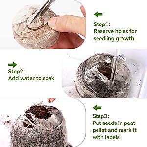 200 Pcs Peat Pellets - 30mm Seeds Plant Starting Plugs, Compressed Nutrient Fertilizer Fiber Soil Block, Plant Pods Bulk for Seedling Transplanting Herb Flower Vegetables