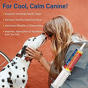 Natren Canine-Dophilus Probiotics Gel for Dogs - Animal Probiotic for Digestive Health and Maintains Intestinal Flora