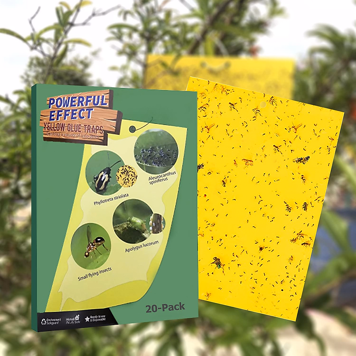 Cheechee 20-Pack Yellow Sticky Traps for Gnats, Fruit Fly Trap for Indoors/Outdoor Flying Plant Insect Killer Like Fungal Gnats, White Flies, Aphids, Leaf Miners - 6x8 in, 20pcs Twist Ties Included