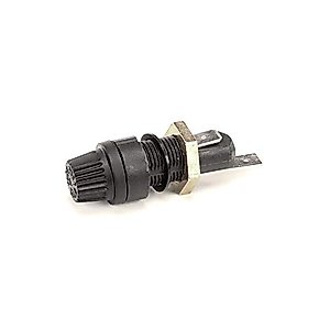 Anets Fuse,Hldr Pan Mntg 250V/20A