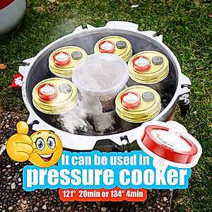 Syringe Filters PTFE Hydrophobic 25 mm 0.22 um Non Sterile 50/pk by KS-Tek