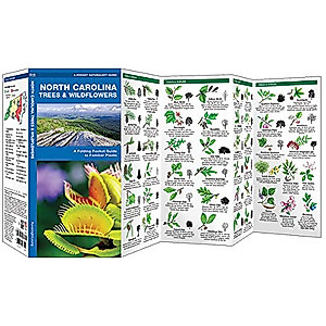 North Carolina Trees & Wildflowers: A Folding Pocket Guide to Familiar Plants (Nature Observation North America)