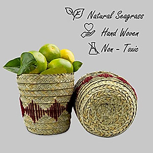 ATHENA HOME Hanging Basket - Small Woven Wicker Seagrass Hanging Basket Set 2 Flower Plants Wall Basket Decor 8 x 8 x 11 inches