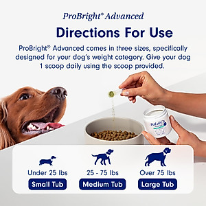 PetLab Co. – Gut & Breath Bundle: Dental Powder for Fresh Breath in 1 Scoop. for Small Dogs & Salmon Dog Probiotics to Support a Healthy Gut - Easy to Use – Innovative Formulas