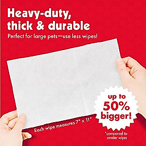 Petkin Pet Wipes for Dogs and Cats, 200 Large Wipes - Removes Dirt & Odor Like Washing Hands - Cleans Ears, Face, Butt, Eye Area - Convenient, Ideal for Home or Travel - 2 Packs of 100 Wipes