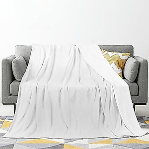 Polka Dots Throw Blanket for Couch,Titmouse Birds Pastel Friendship,Plush Fuzzy Cozy Soft Blankets and Throws for Sofa,Blue Grey Dust 50x60 Inches