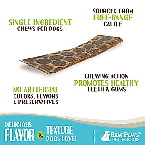 Raw Paws Beef Esophagus Dog Treats, 6-inch, 16-Ounce - Packed in USA - Free Range Beef Esophagus for Dogs - Beef Gullet Sticks for Dogs - Dog Taffy Chews - Beef Jerky for Dogs - Beef Jerky Dog Treats