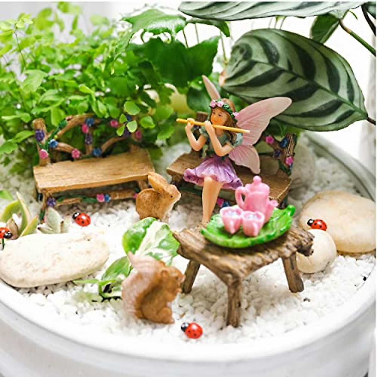 PRETMANNS Fairy Garden Fairies Figurines - Fairy for Fairy Gardens - Fairy Garden Accessories - Miniature Garden Fairy Bella & Outdoor Fairy Garden Supplies - Fairy Garden Starter Kit - 14 Pieces