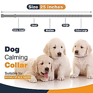 3 Packs Calming Collar for Dogs, Anxiety Relief Pheromone Calming Collars Up to 60 Days Efficient Relieve Stress&Relax for Small Medium Large Dog Comfortable Collar Breakaway Design Gray 25 Inches
