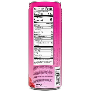 RSP NUTRITION AminoLean Berry Alixir Energy Drink - Sugar Free Amino Energy with No Jitters, Tingles, or Crash, Vegan Amino Acids 12 Pack