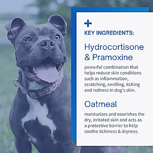 SensoVet Hydrocortisone & Pramoxine Medicated Spray for Dogs & Cats - Itch Relief, Insect Bites, Hot Spots (4oz)