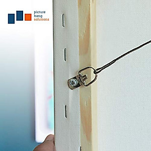 D Ring Picture Hangers with Screws - 100 Pack - Bulk D Rings - Pro Quality d-Rings - Picture Hang Solutions