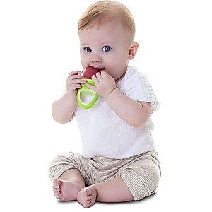 Nuby Garden Fresh Fruitsicle Frozen Pop Tray, Pack of 2