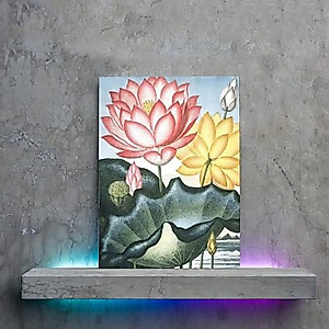 ESyem Posters Plant Wall Art Abstract Water Lilies Flower Wall Art Pond Landscape Art Poster Canvas Art Poster And Wall Art Picture Print Modern Family Bedroom Decor 24x32inch(60x80cm) Frame-style