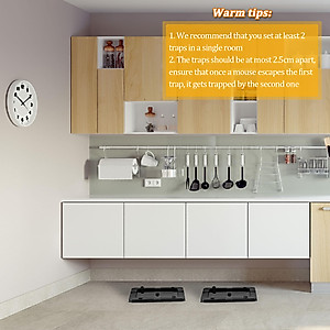 Qualirey 6 Pack Mouse and Insect Glue Traps, Strong Sticky Pre Baited Trays with Non Toxic Glue for Mice, Small Rats, Flies, Cockroaches and Other Bugs, Ready to Use Indoor, Safe to Children