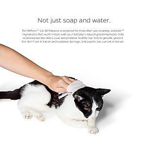 Pet Parents® Pet WiPees™ Cat All Purpose Cat Wipes, Pet Wipes, All Purpose Wipes for Cats & Cat Bath Wipes, Cat Cleaning Wipes (100 Count (Pack of 1), Natural)