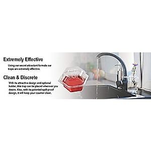 BEAPCO 10036 7 Red 6-Pack Premium Fruit Fly 6 Pre-Filled Trap Flies Indoors | Easy Effective and Safe to Use | Food-Based Lure/Bait Catcher