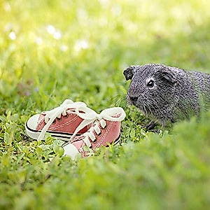 Bird Chewing Toys, 12 Pieces Parrot Sneakers Colorful Cotton Shredder Hanging Cage Bite Toys for Small Parakeets, Cockatiel, Conures, Finches, Budgie, Mynah, Finche, Love Birds,Dove, Parrotlet (H01)