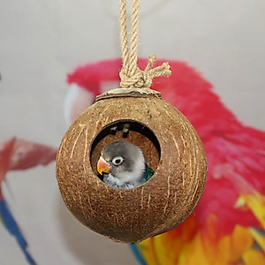 SLDHFE Coconut Bird Nest Hut,Natural Coconut Shell Bird Nest House,Coconut Bird Shell Breeding Nest for Hamster,Bird Cage Accessories,Pet Bird Supplies