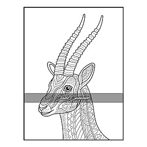 100 Animals: An Adult Coloring Book with Lions, Elephants, Owls, Horses, Dogs, Cats, and Many More!