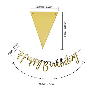 Legendog 23PCS Dog Party Decor Set Fashion Party Banner Cone Hat Party Balloon with Pump (Golden)