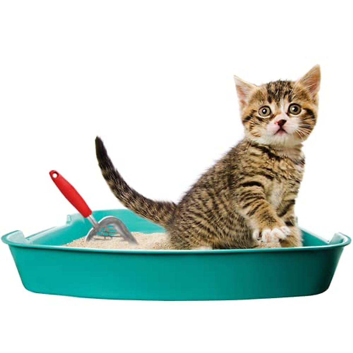 SunGrow Rabbit, Ferret & Cat Litter Scoop, Aluminum Pet Poop Shovel with Rubber Red Handle, Large Party Ice Scooper