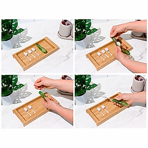 RADIUS Tour Travel Brush & Case with Replaceable Brush Head ADA Accepted Toothbrush Improve Gum Health - Assorted Colors - Pack of 6