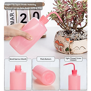 Melphoe Tattoo Wash Bottle Squeeze 3Pcs 500ml Squirt Bottle Succulent Watering Can, Safety Rinse Bottle, Plastic Squeeze Medical Lab Washing Bottle, Tattoo Supplies, Lash Water Bottle Squeezer, Pink