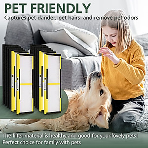 FLT4825 HEPA Filter B Replacement - Compatible with Guardian Air Purifier AC4825 AC4300 AC4800 AC4900 AC4850, 4 Pack Pet-Friendly HEPA with 6 Pre-Filters for Homes, Offices, and Pet Owners