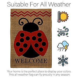 Welcome Ladybug Burlap Garden Flag - Friends Bugs & Frogs Butterfly Ladybugs Dragonfly Bee Springtime Insect Natural Wildlife - Yard Decorations Holiday Outdoor Flags Double-Sided 12.5 X 18