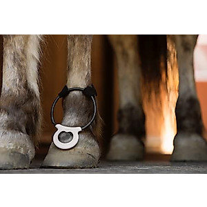 Assisi Loop 2.0 Manual tPEMF Device for Dogs, Cats, and Horses (10 CM)