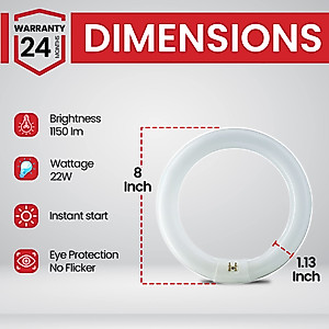 BULBMASTER FC8T9/CW 22 Watt 8 Inch Round T9 Fluorescent Circular Light Bulb, Cool White 4100K, 1120 Lumens G10Q 4-Pin Base 22W Circline Ceiling Lights