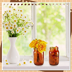 Tessco 12 Pieces 16 oz Amber Mason Jars with Lids Decorative Pint Canning Jars Regular Mouth Kitchen Canisters Glass Food Containers for Storage Pickling Preserving Fermenting, Christmas DIY Crafts