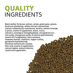 Fluval Bug Bites Bottom Feeder Fish Food, Granules for Small to Medium Sized Fish, 1.60 Oz., A6586