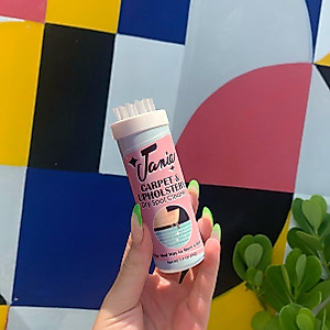 Janie Dry Stick Spot & Carpet Cleaner (1.8 oz)