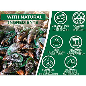 New Zealand - Green Lipped Mussel for Dogs - 1325mg 90 Caps - Hip & Joint Supplement for Dogs & Arthritis Relief for Dogs - GMO & Gluten Free