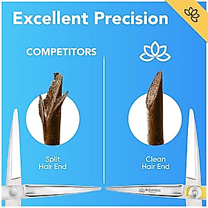 Equinox Razor Edge Series Professional Hair Scissors - 6.5” Premium Japanese Stainless Steel Hair Cutting Scissors, Hair Shears for Hair Cutting, Barber Accessories & Hair Salon Supplies - Silver