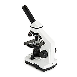 Celestron – Celestron Labs – Monocular Head Compound Microscope – 40-800x Magnification – Adjustable Mechanical Stage – Includes 2 Eyepieces and 10 Prepared Slides