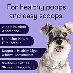 Finn Digestive Probiotics for Dogs - Complete Digestive System Support with Pumpkin, Prebiotics, & Live Probiotics - Vet Recommended & Made in The USA - 90 Soft Chews