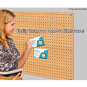 Marketing Holders 12 Pack Pegboard Postcard Bin for 6 Inch Printed Literature in Service Stations and Convenience Stores Space Saving Clear Acrylic Advertisement Display Organizer