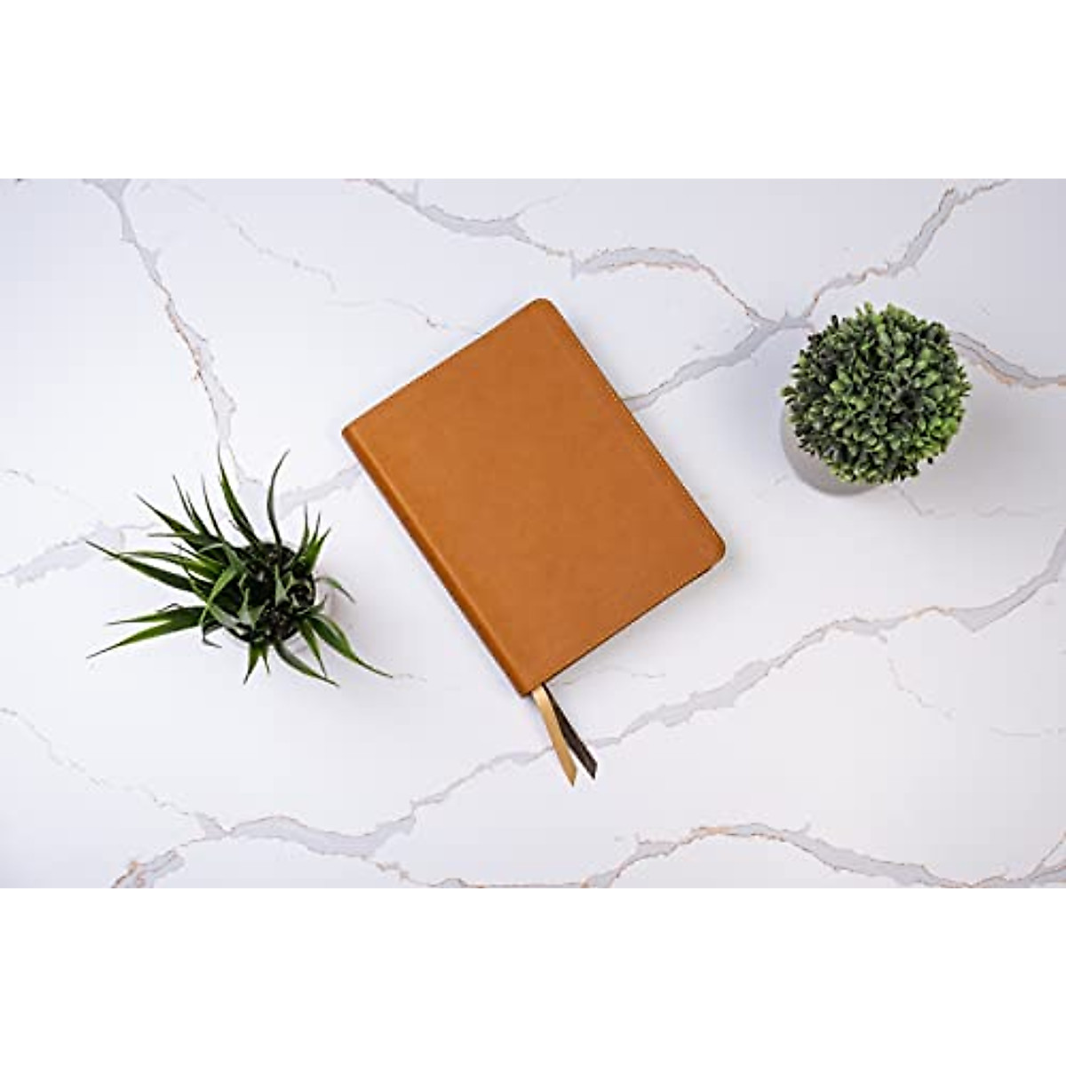 RVR 1960 Biblia ilustrada de la Tierra Santa, café símil piel / RVR 1960 Holy land Study Bible, brown LeatherTouch (Spanish Edition)